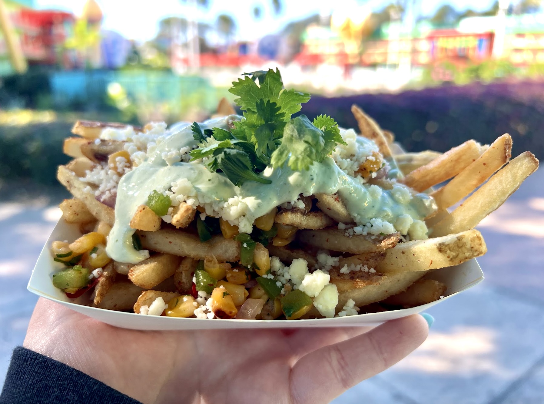 Ranking Walt Disney World's 6 Newest French Fries - Magic-Ally Main Treats